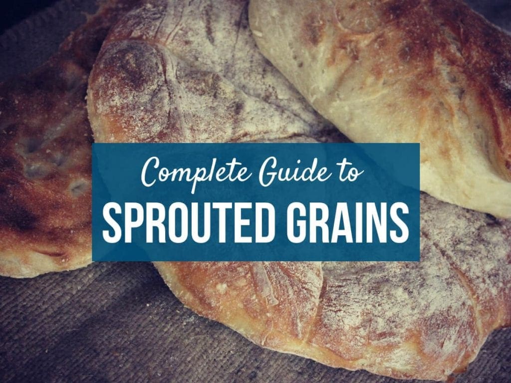 Complete Guide to Sprouted Grains | Dietitian Meets Mom