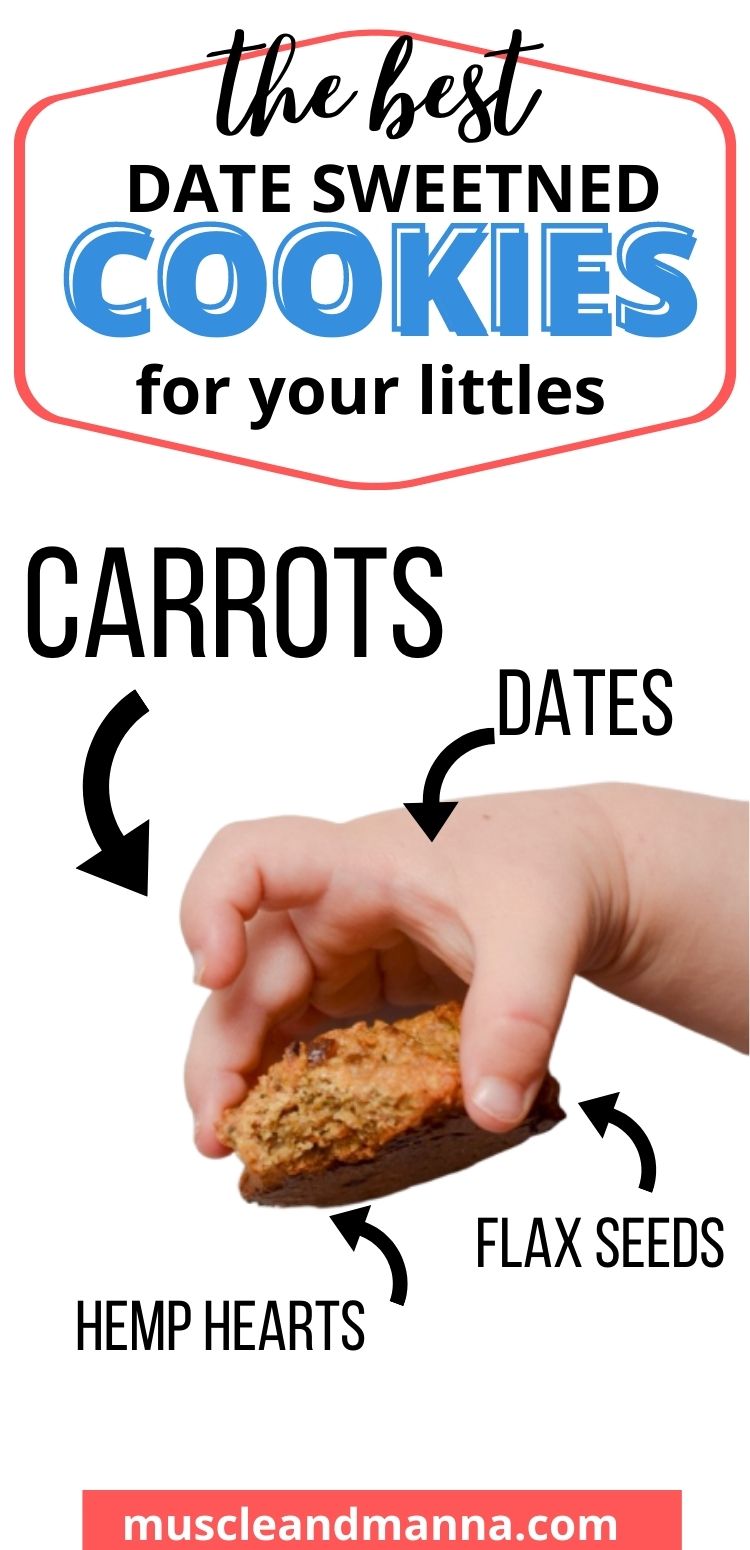 Oatmeal Toddler Cookies - No Sugar! | Dietitian Meets Mom